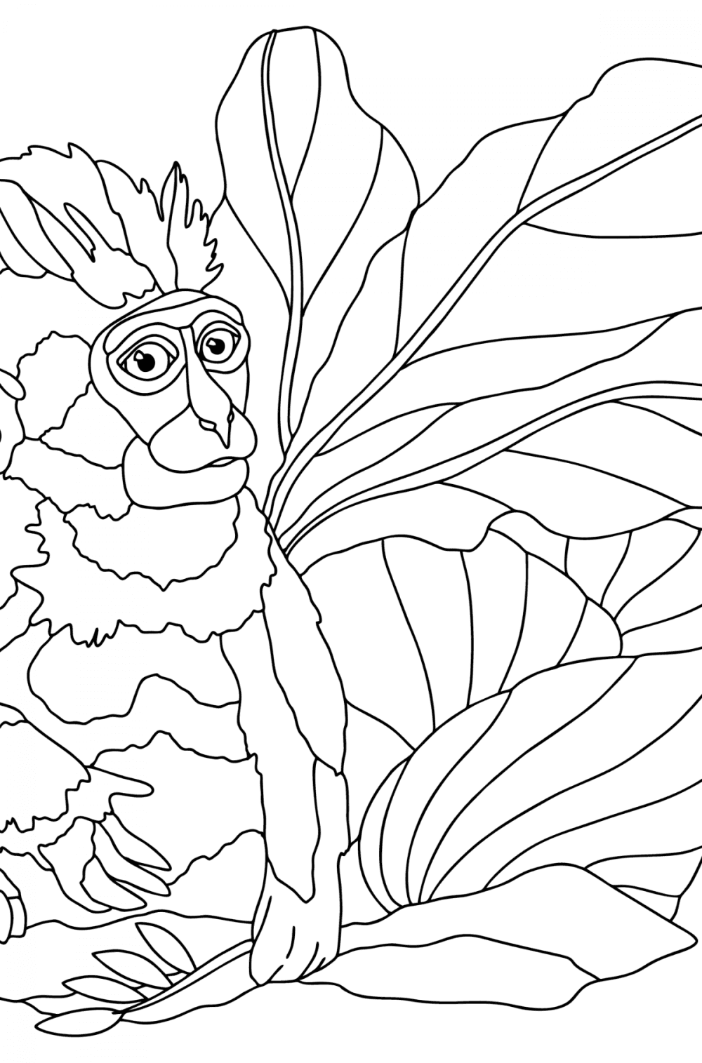 Monkey coloring pages for Adults - Online or Printable