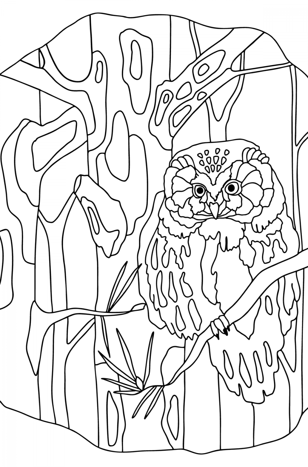 Tegninger til fargelegging for voksne - online og skrive ut