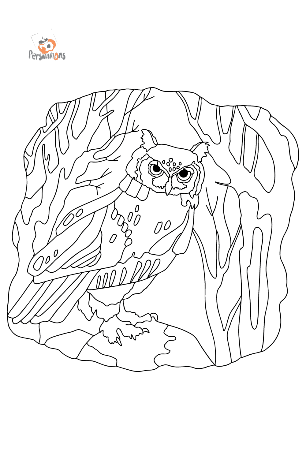 Mooie uil Kleurplaat voor volwassenen - Coloring-for-Adults.com