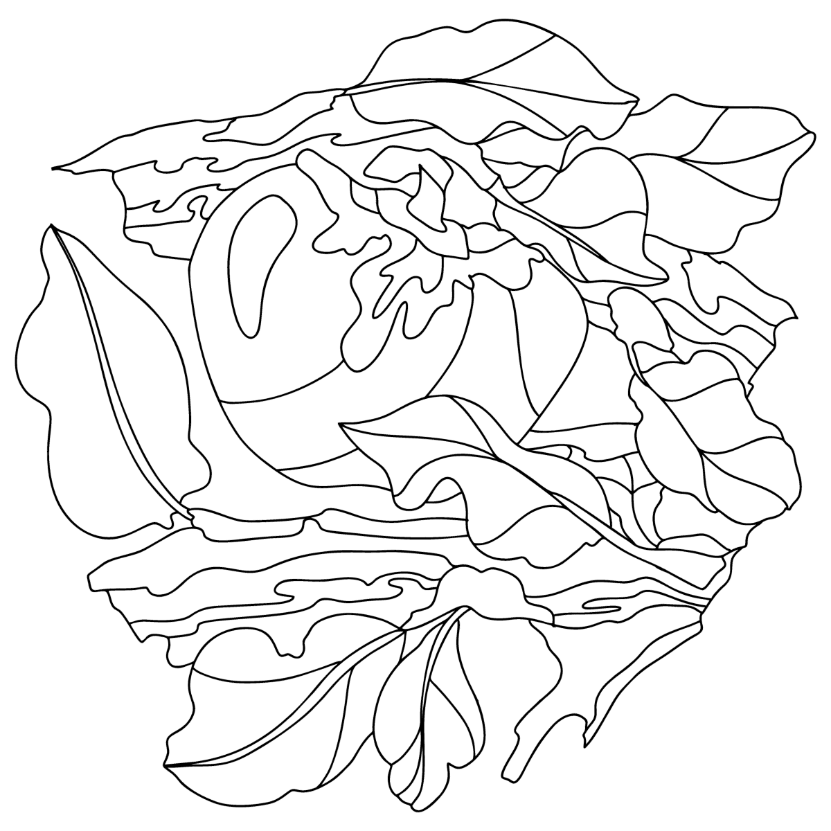Persimmon on a branch - Persimmons coloring pages for Adults online