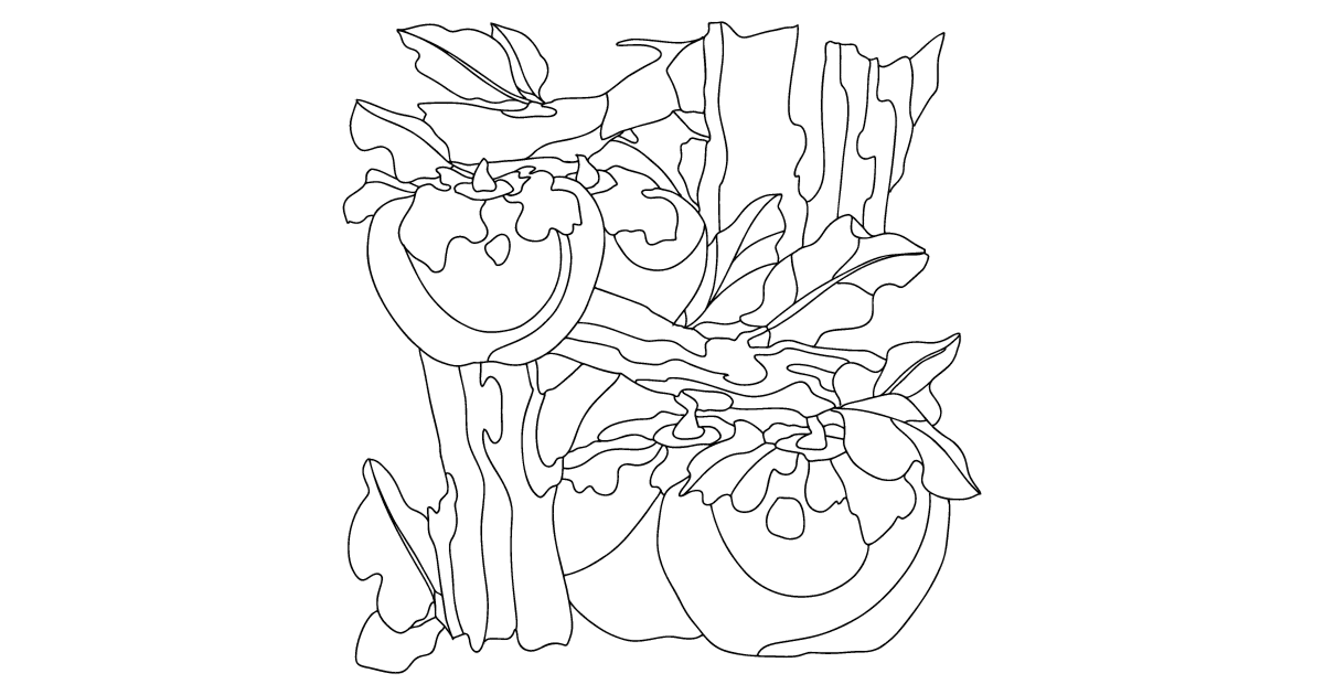 Persimmons coloring pages for Adults - Online or Printable