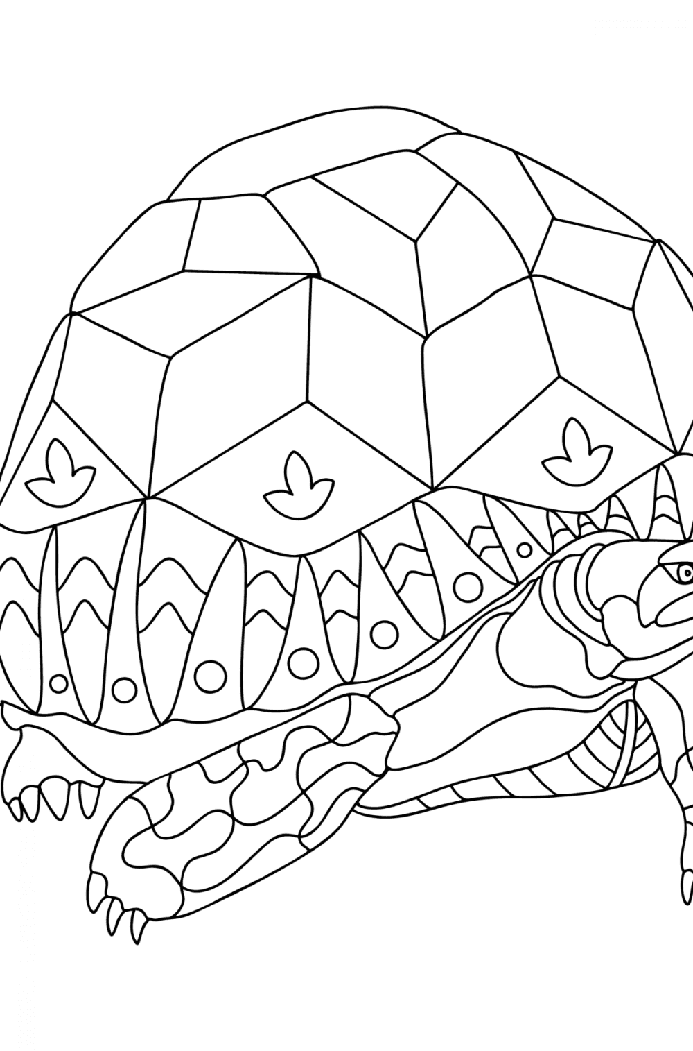Beautiful turtle - Turtles coloring pages for Adults online