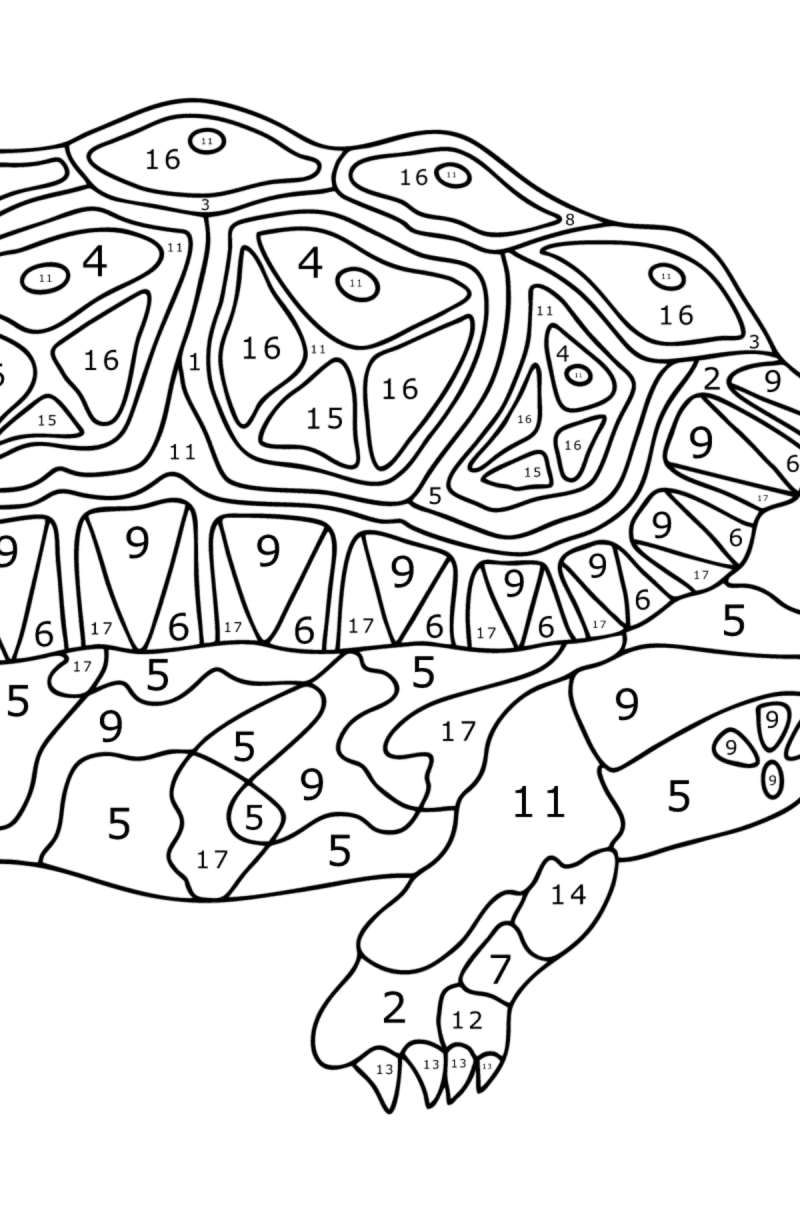 Turtle Art therapy - Turtles coloring pages for Adults online