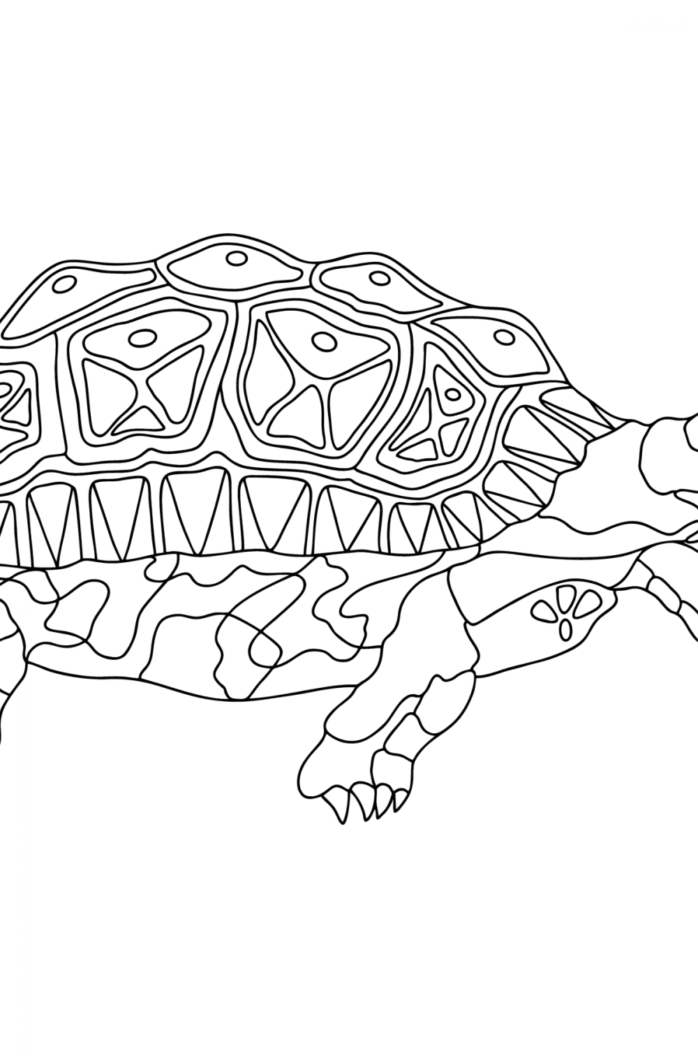 Broasca Testoasa Terapie prin arta - Desene de colorat Țestoase