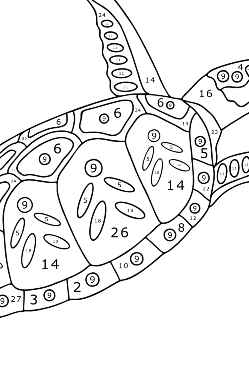 Green sea turtle - Turtles coloring pages for Adults online