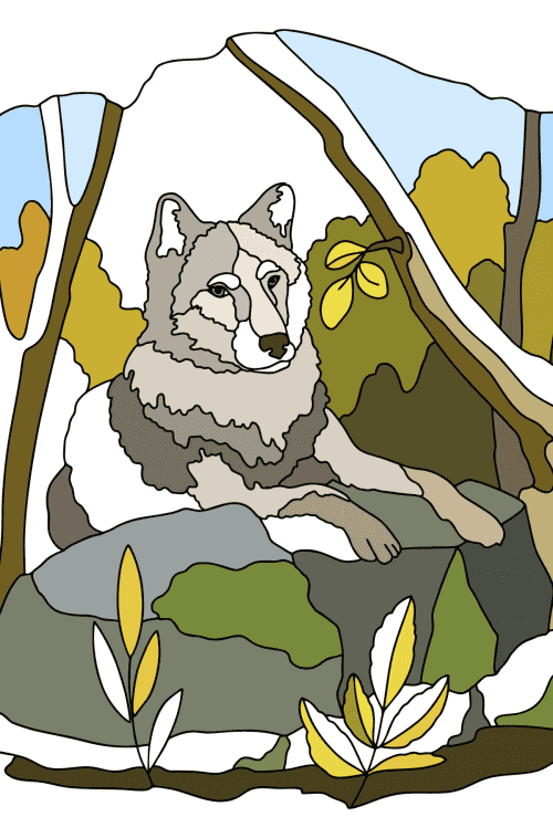 Lone wolf - Wolves coloring pages for Adults online and printable